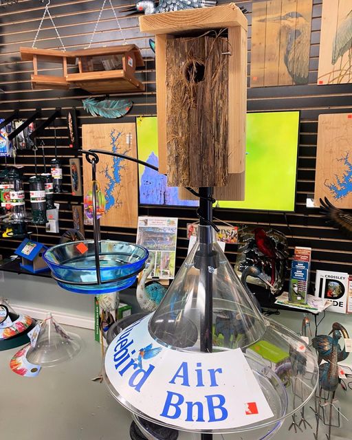 Lyric Identiflyer,bird identifier,identify bird songs,identify birds ...