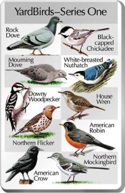 Classic IdentiFlyer and SongCards – For The Birds Store